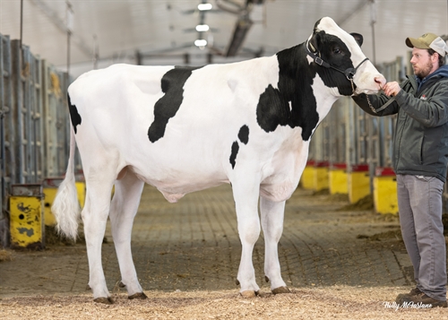PASTOR *RC | 0200HO13271 | Semex Brasil