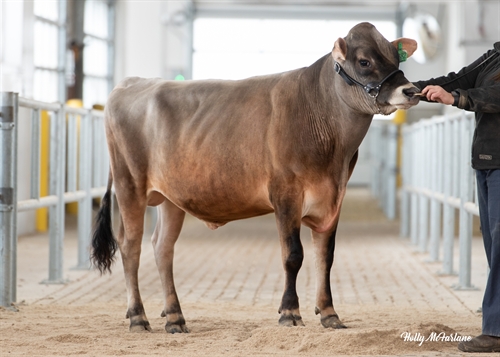 DAVIDSON | 0200JE01382 | Semex Brasil