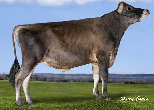 JORDAN | 0200JE01189 | Semex Brasil