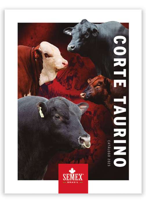 Bem-vindo à Semex Brasil | Semex Brasil