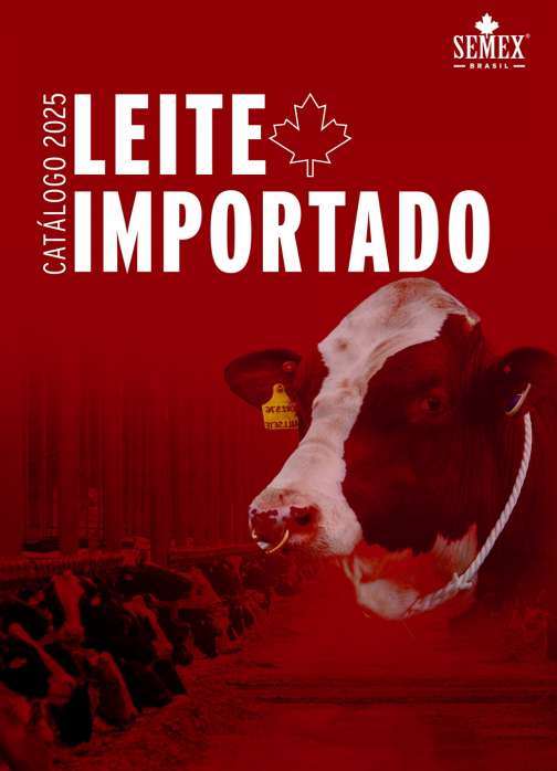 Bem-vindo à Semex Brasil | Semex Brasil